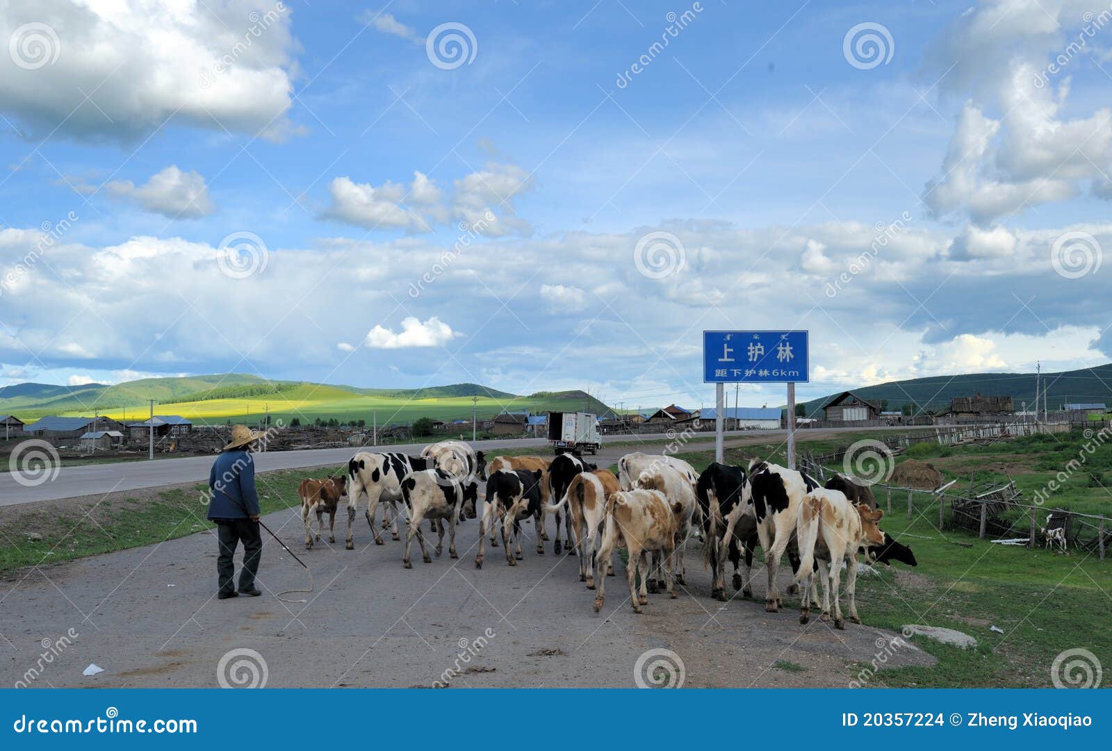 Herdsman editorial stock image. Image of province, worker - 20357224