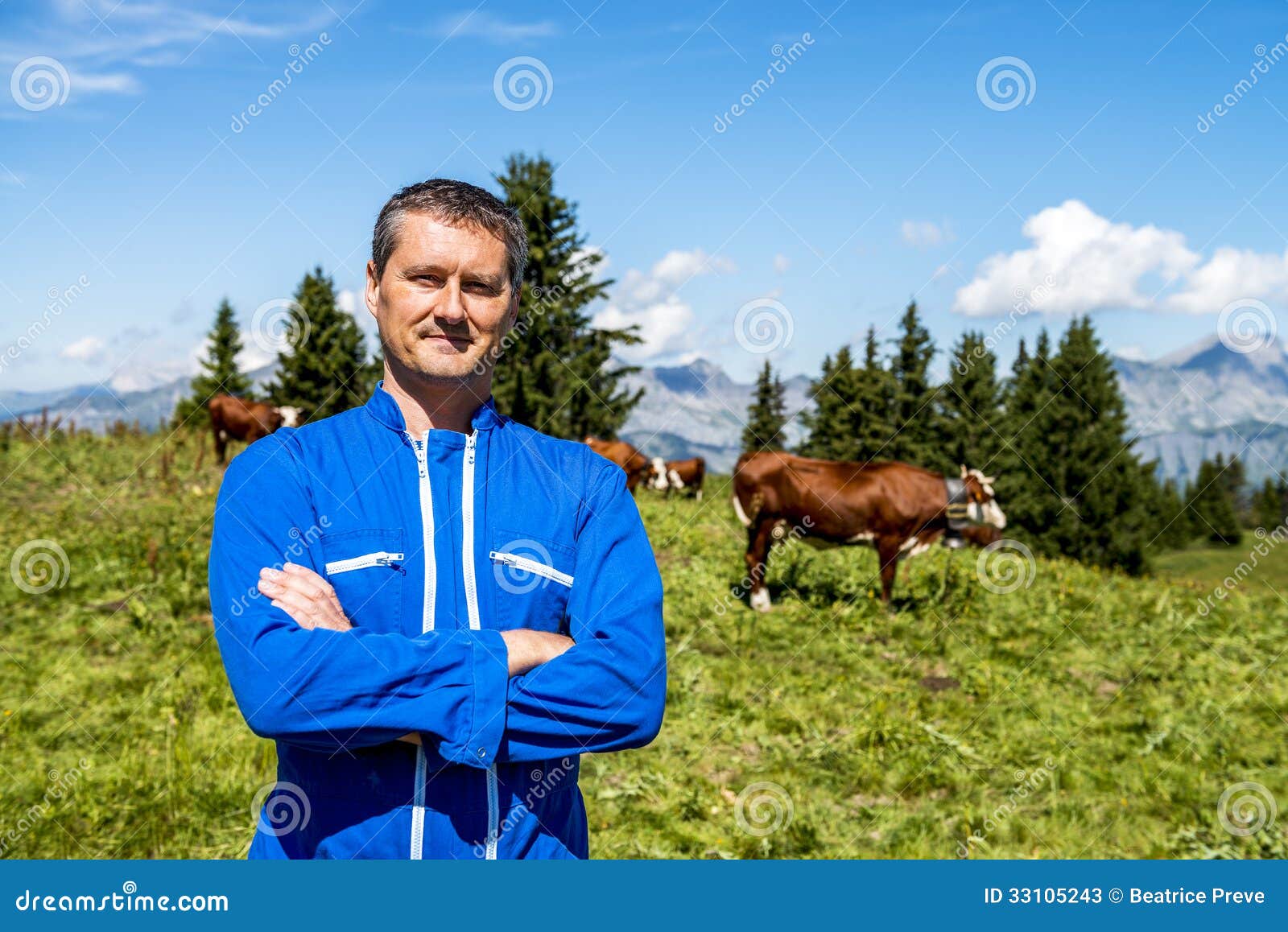 Herdsman and cows stock image. Image of standing, portrait - 33105243