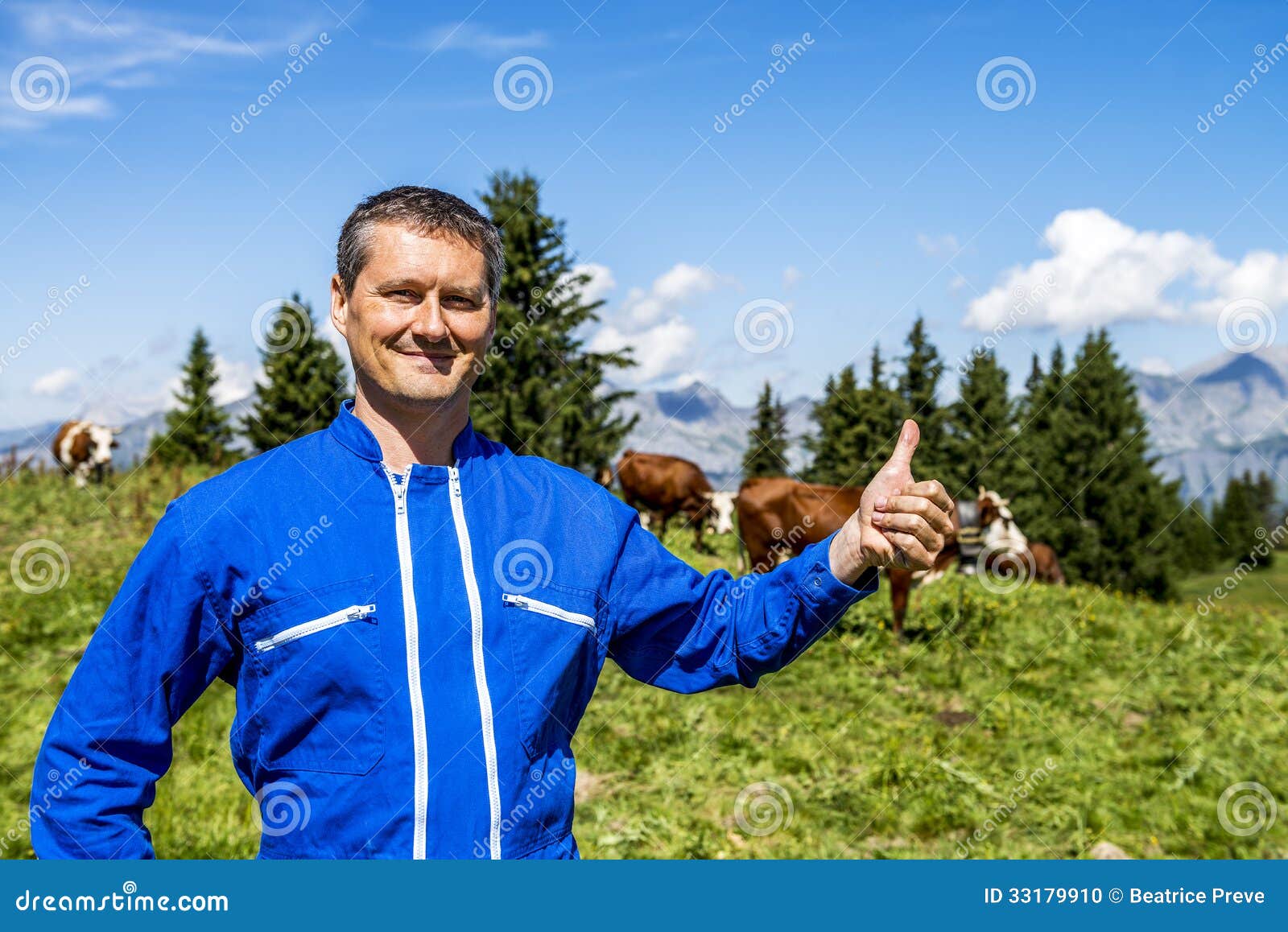 Herdsman and cows stock photo. Image of nature, production - 33179910