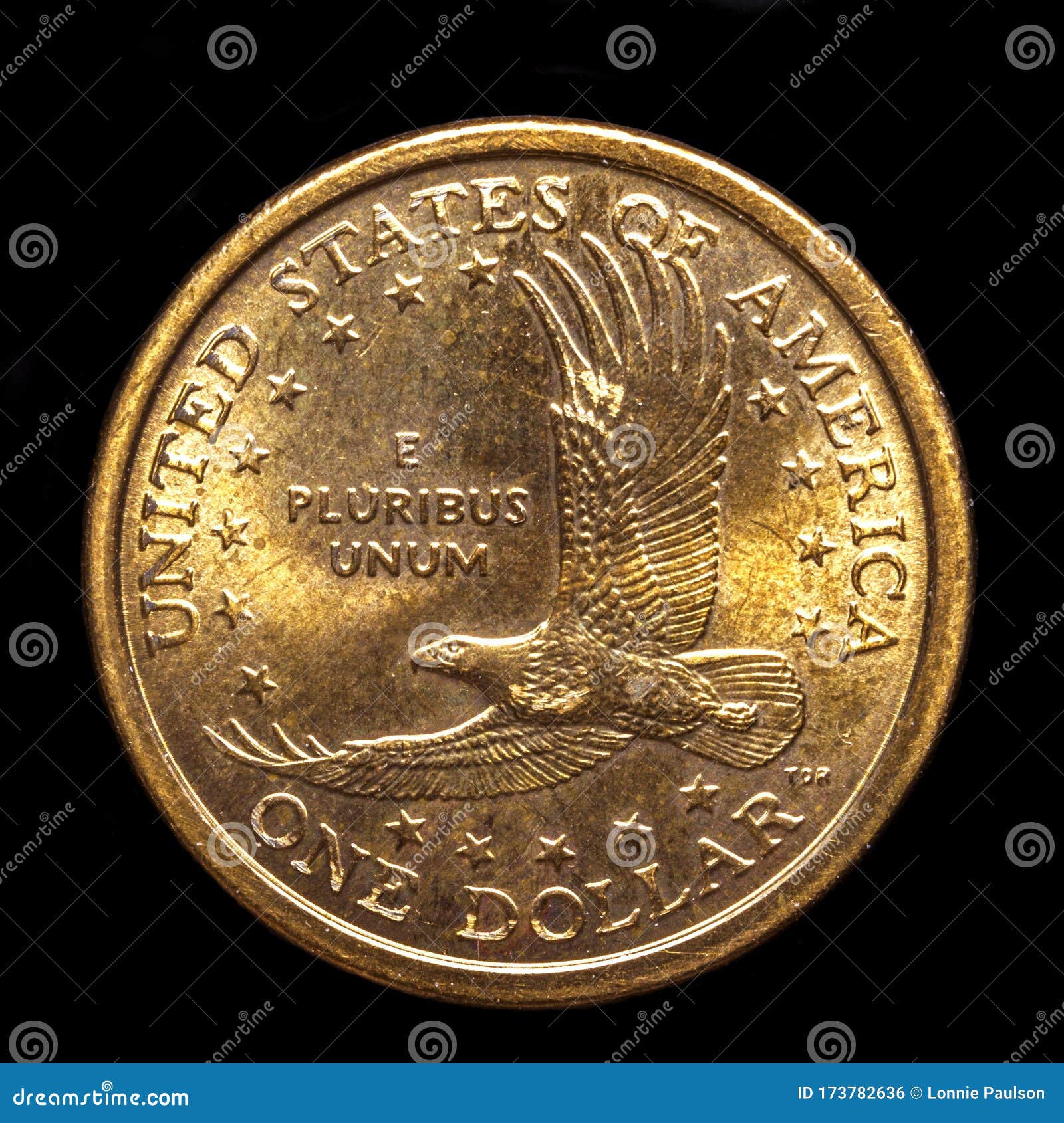 Here is a Gold Dollar Coin with an Eagle. Stock Photo - Image of ...
