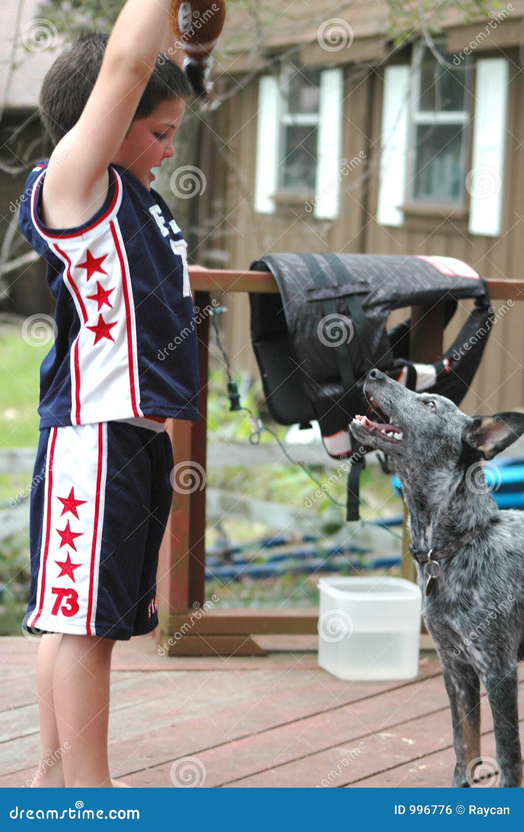 Here Boy stock photo. Image of child, deck, owner, sports - 996776