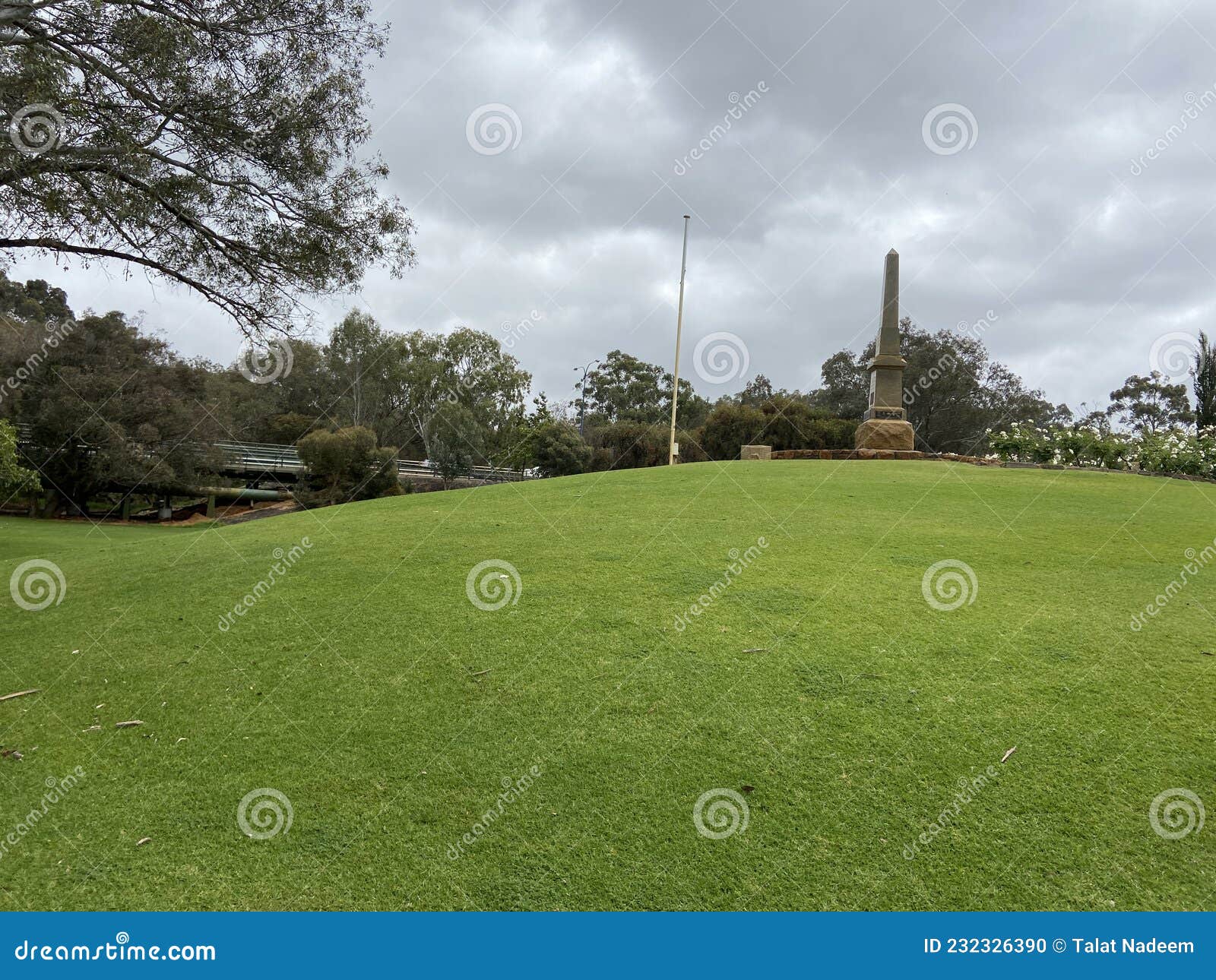 Here is a Green Meadow One Side Trees . Stock Photo - Image of pasture ...