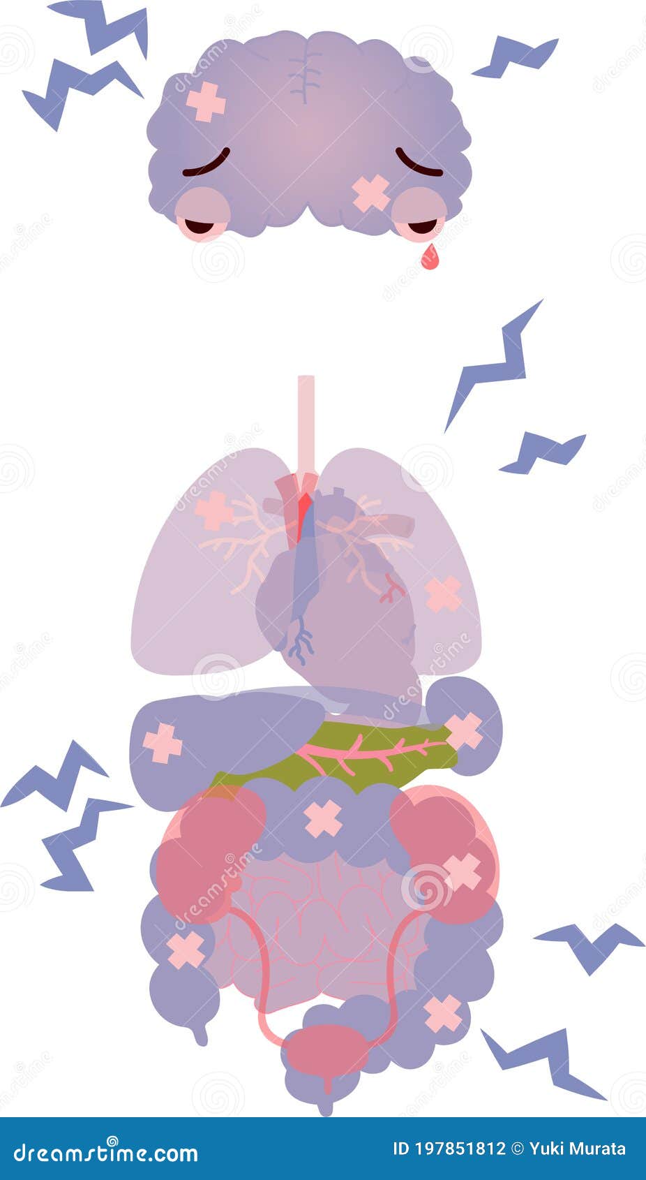 Illustration of Cute Blue Human Organs Stock Vector - Illustration of ...