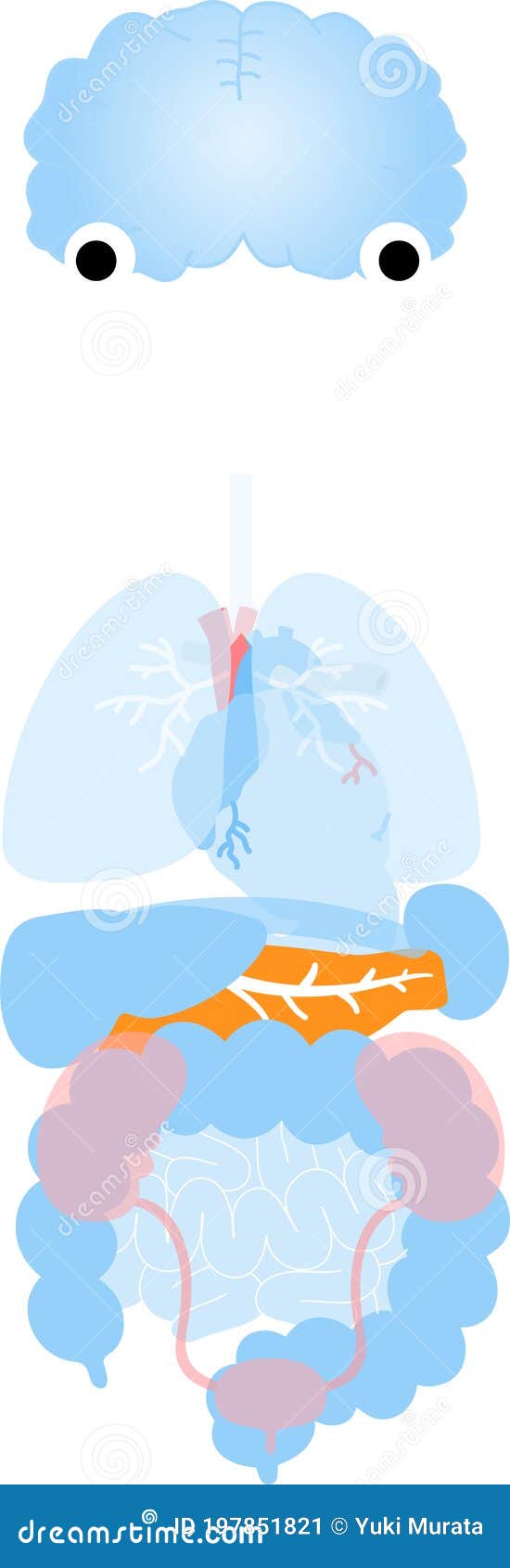 Illustration of Cute Blue Human Organs Stock Vector - Illustration of ...