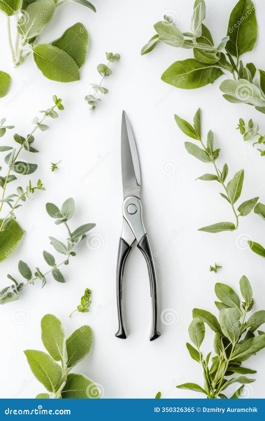 Here S a Concise 10-word Summary of the Image: Stock Image - Image of ...