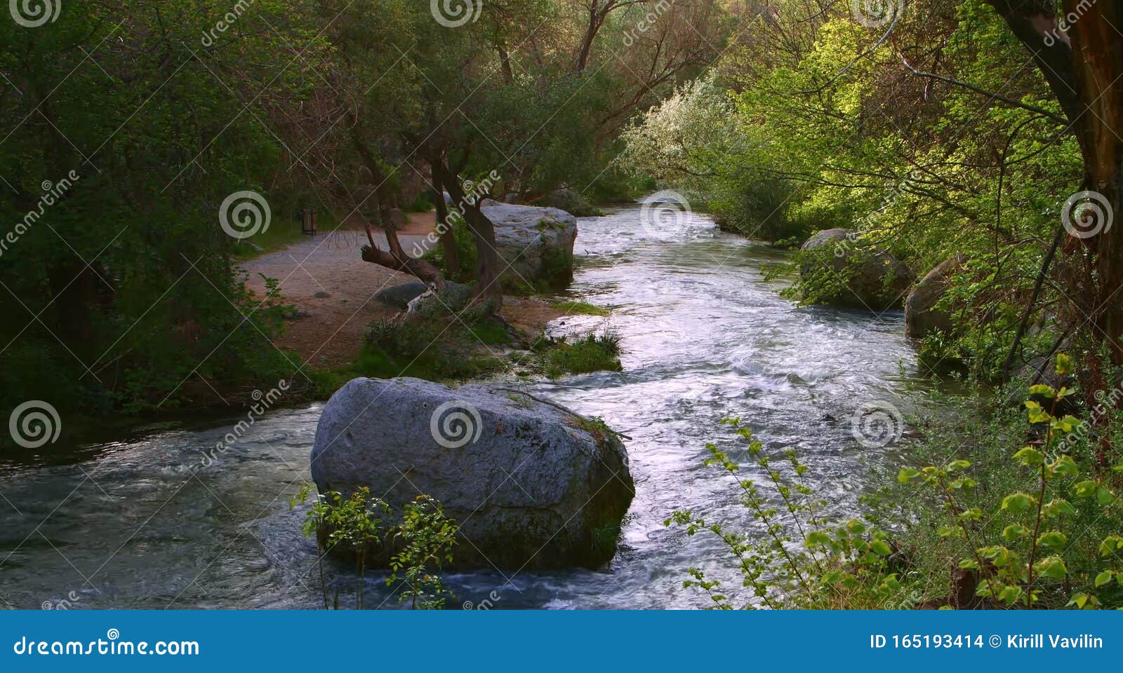 A Beautiful River Flows in the Forest. Stock Photo - Image of nature ...