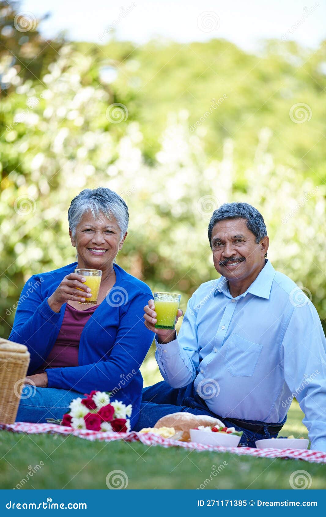 Heres To Living Life A Loving Senior Couple Enjoying A Picnic Together