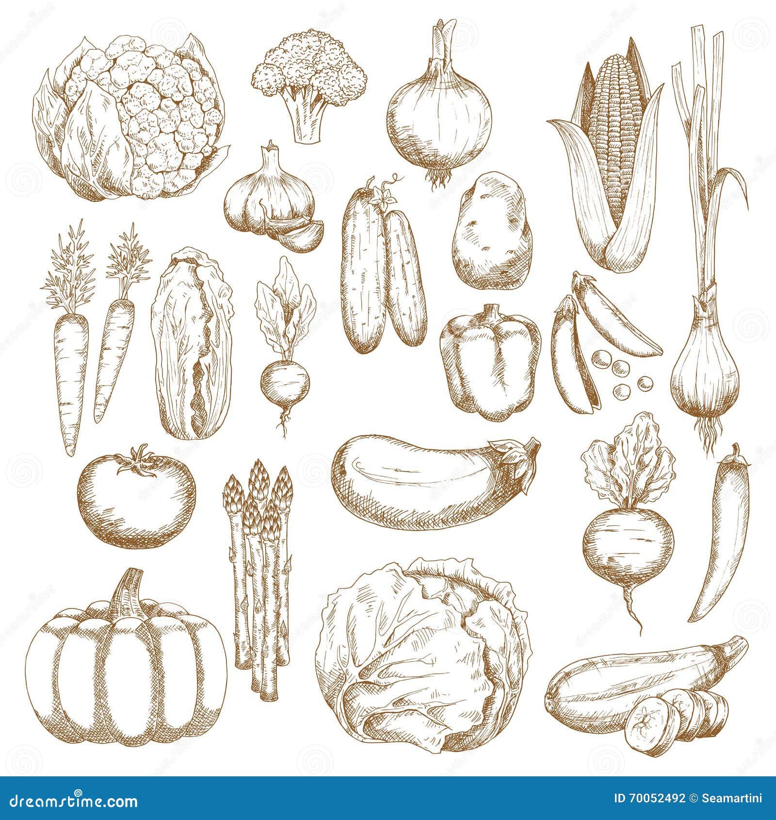 Herfstovervloed Van Vers Geoogste Groenten Vector Illustratie ...