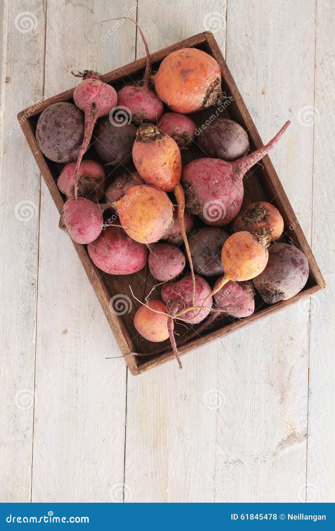 Heritage Beetroot Selection Stock Photos - Free & Royalty-Free Stock ...