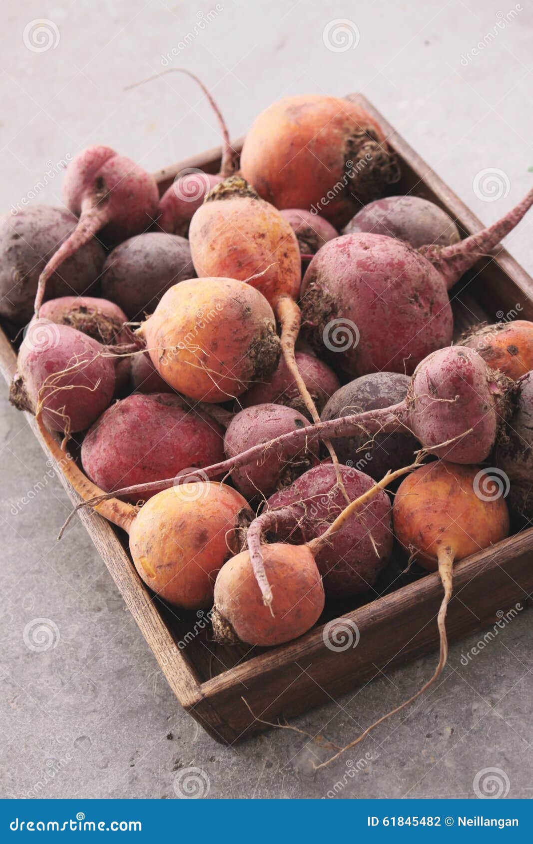 Heritage Beetroot Selection Stock Photo - Image of healthy, dinner ...