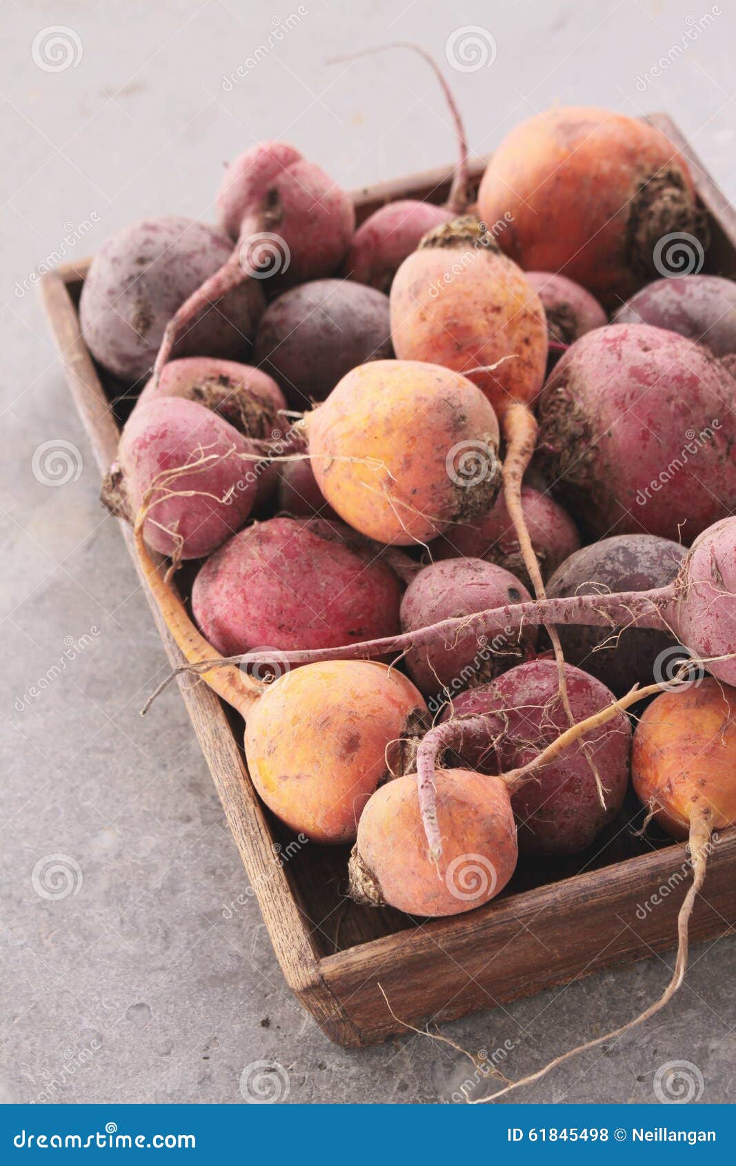 Heritage Beetroot Selection Stock Photo - Image of varigated, cooking ...