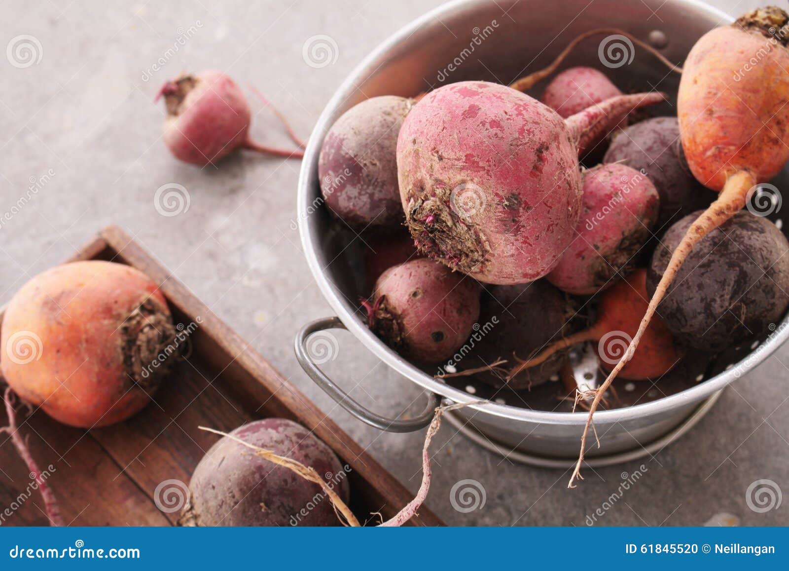 Heritage Beetroot Selection Stock Photo - Image of harvested, dinner ...