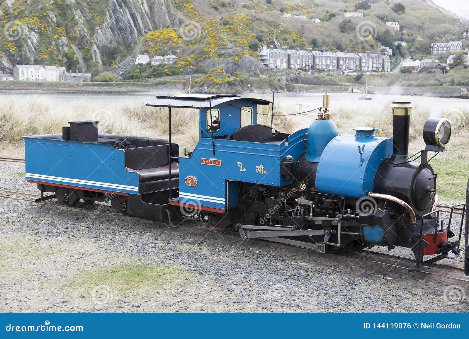 Narrow Gauge Steam Locomotive Narrow Gauge Steam Locomotive