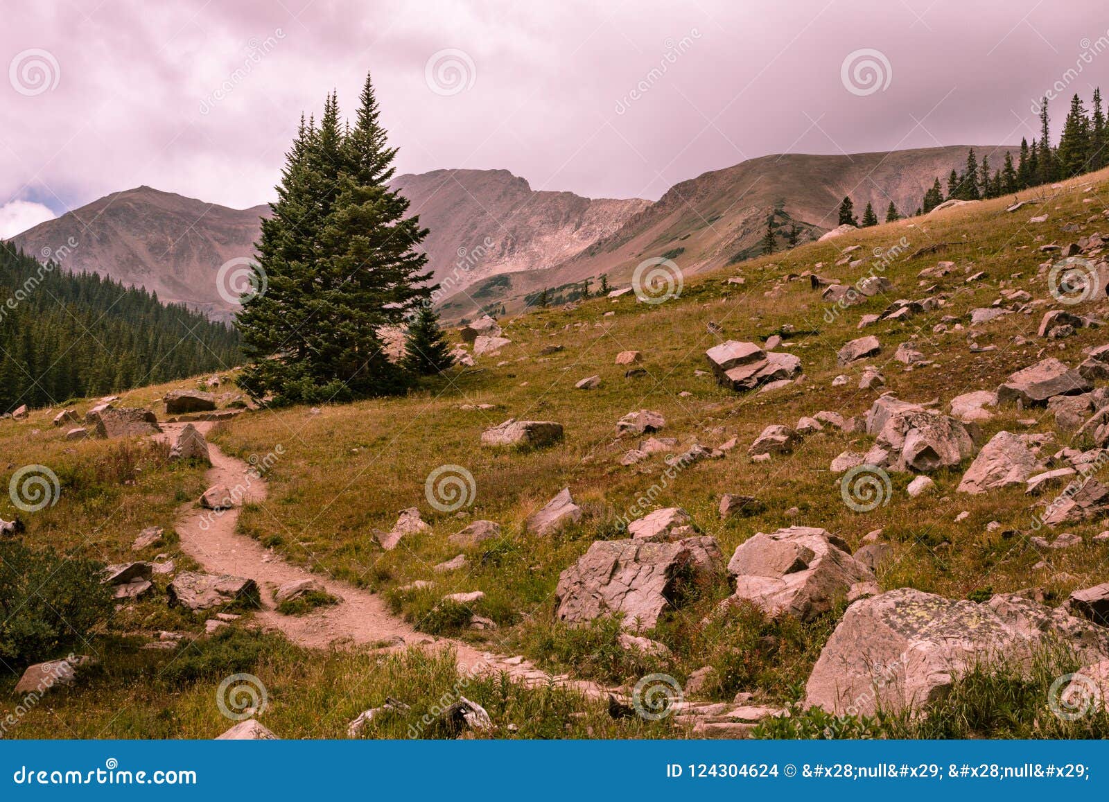 Herman Gulch, CO stock photo. Image of river, herman - 124304624