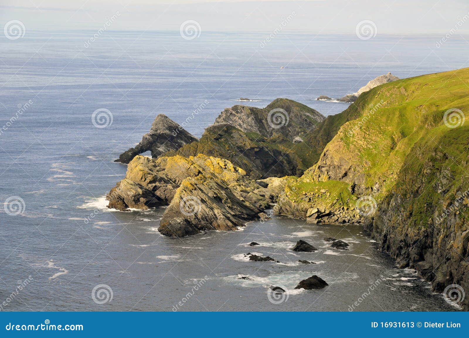Hermaness, Shetland Islands Stock Image - Image of moorland, ocean ...
