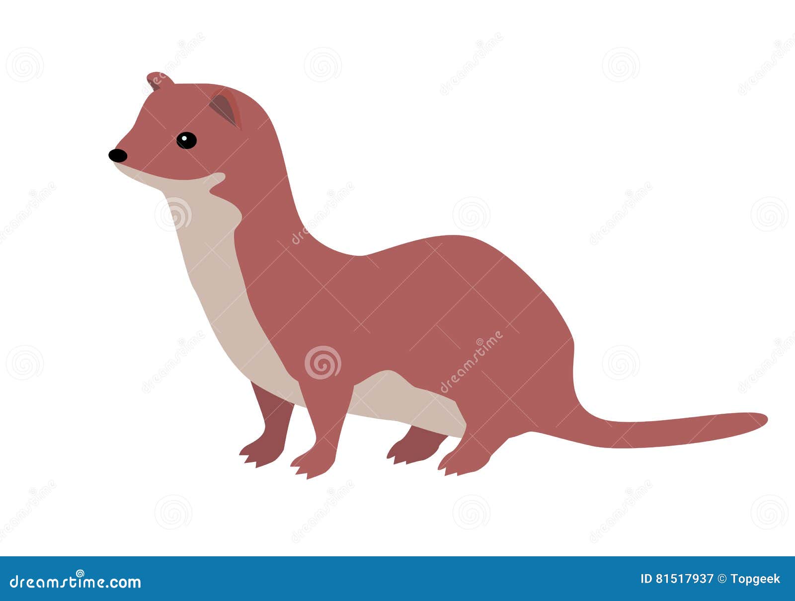 Hermelijn of Wezel Vector Vlakke Ontwerpillustratie Vector Illustratie ...