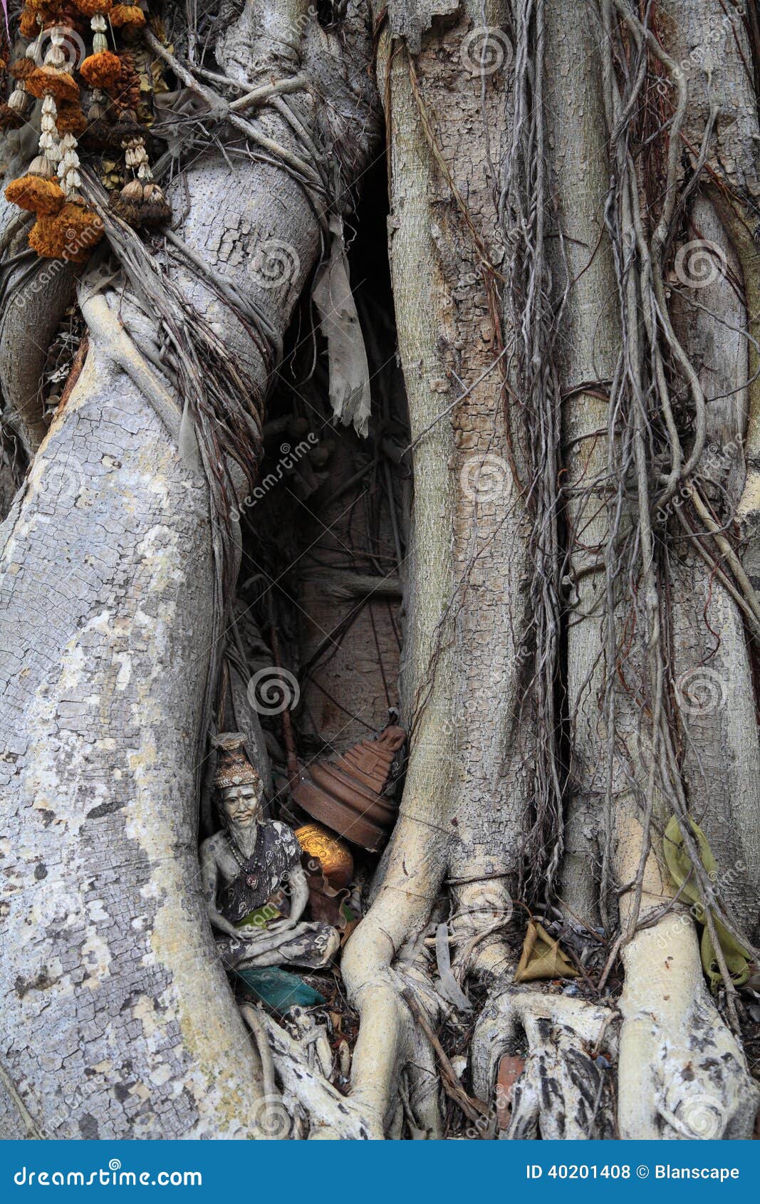 Hermit Statue Inside Bodhi Tree Stock Photo - Image of root, decoration ...