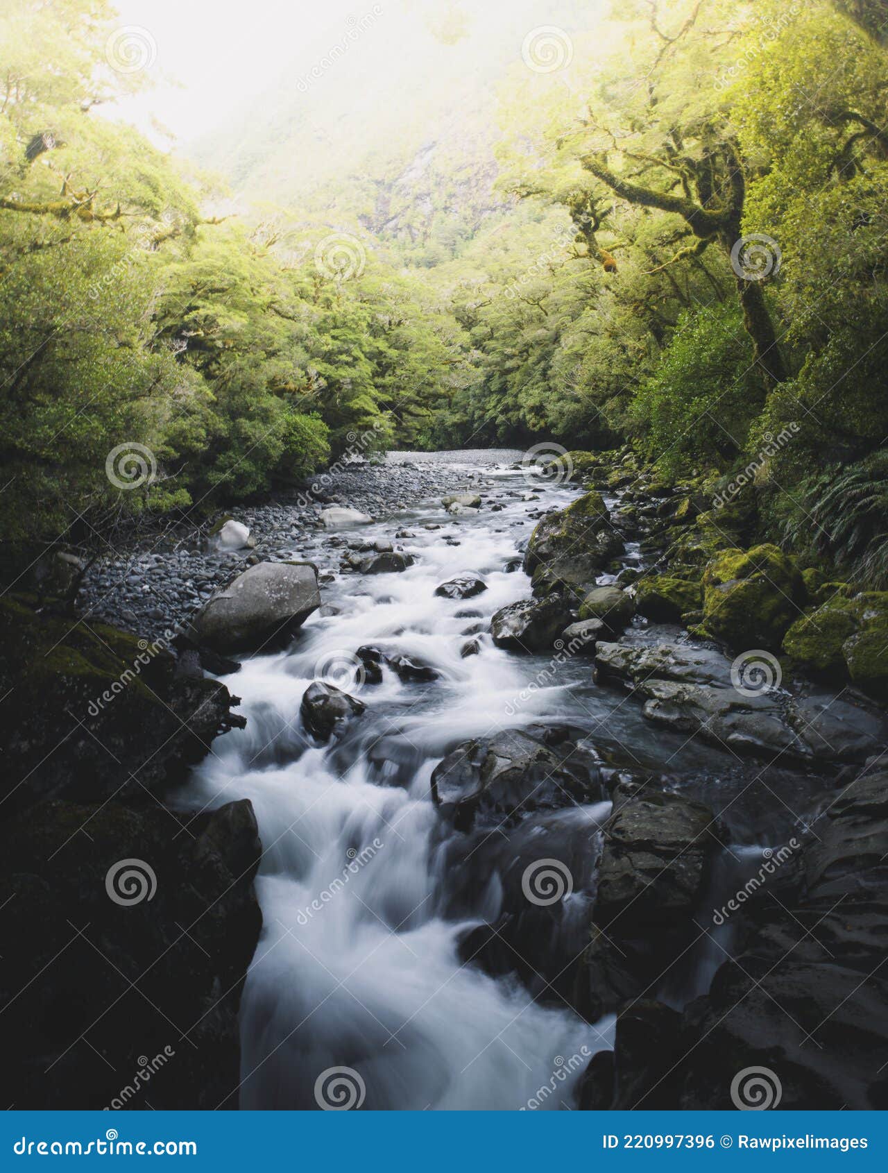 Hermosa vista de un arroyo foto de archivo. Imagen de verde - 220997396