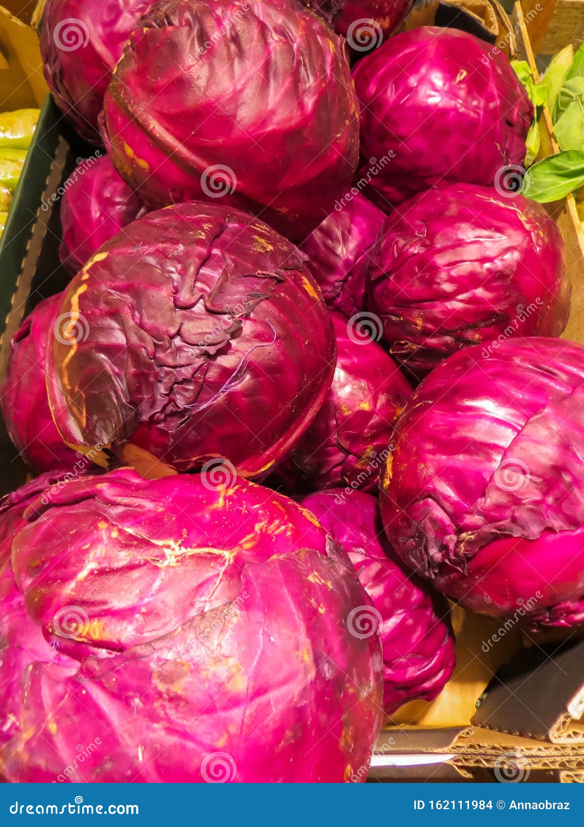 Hermosas Cabezas Rojas De Col, En Una Caja Foto de archivo - Imagen de ...