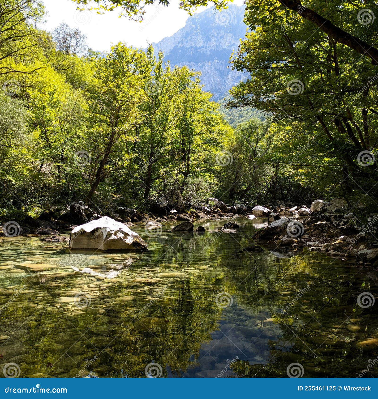 Hermoso Paisaje De Un Bosque Con Un Lago Imagen de archivo - Imagen de ...