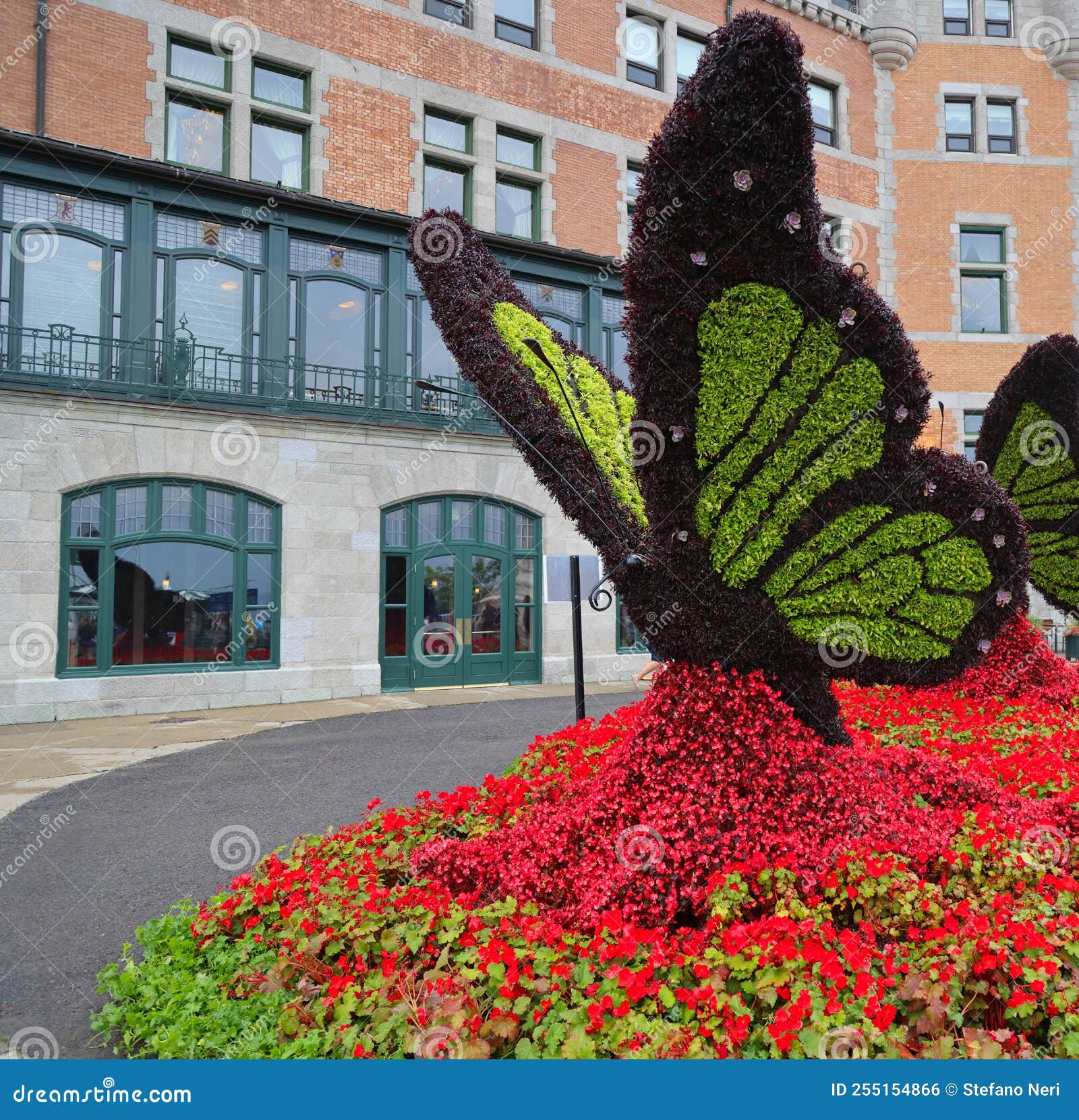 Hermosos Parterres De Flores En Forma De Mariposa Llenos De Flores En ... Hermosos Parterres De Flores En Forma De Mariposa Llenos De Flores En ...