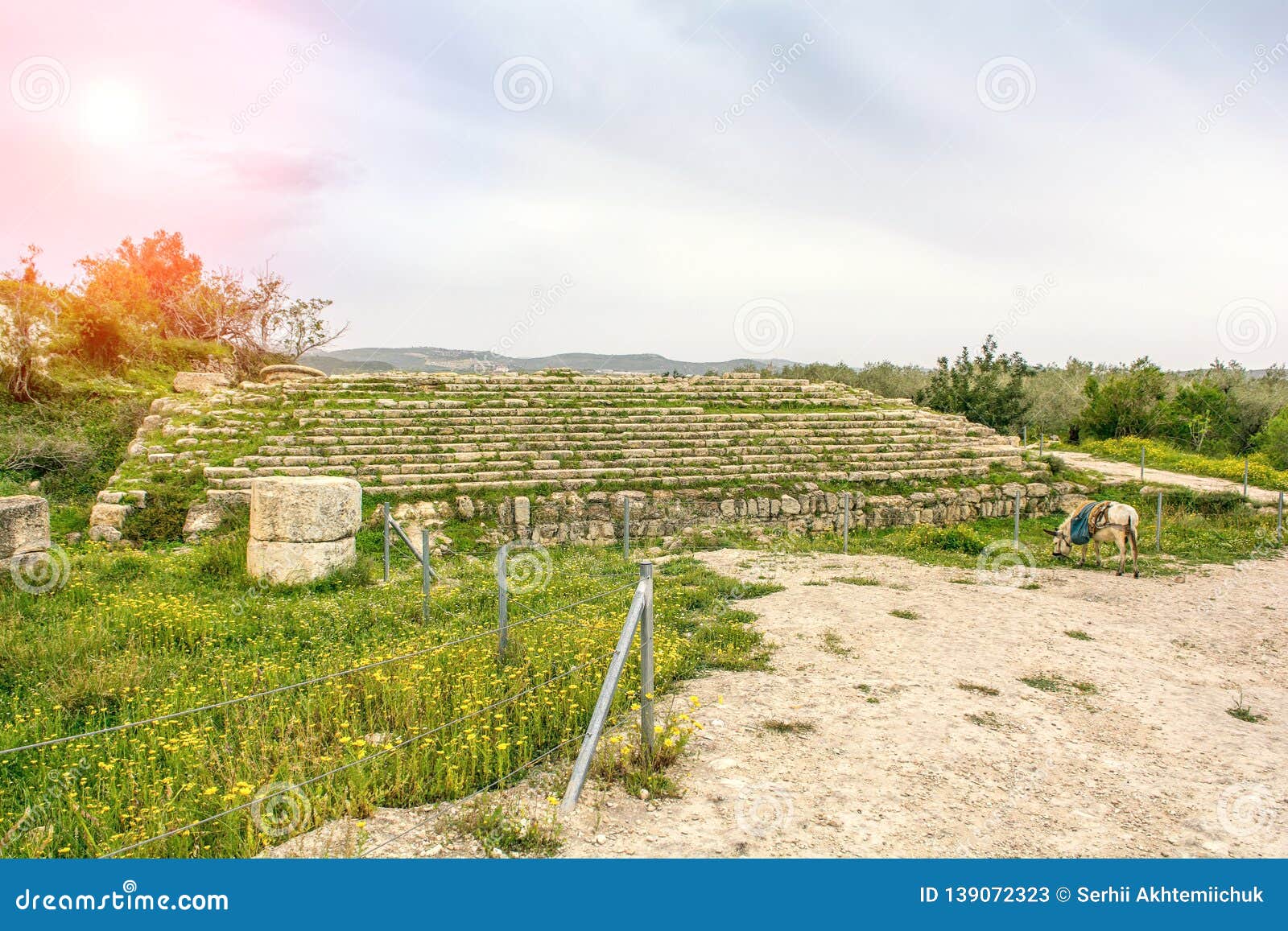 Herod El Gran Palacio En Sebastia, Samaria Imagen de archivo - Imagen ...