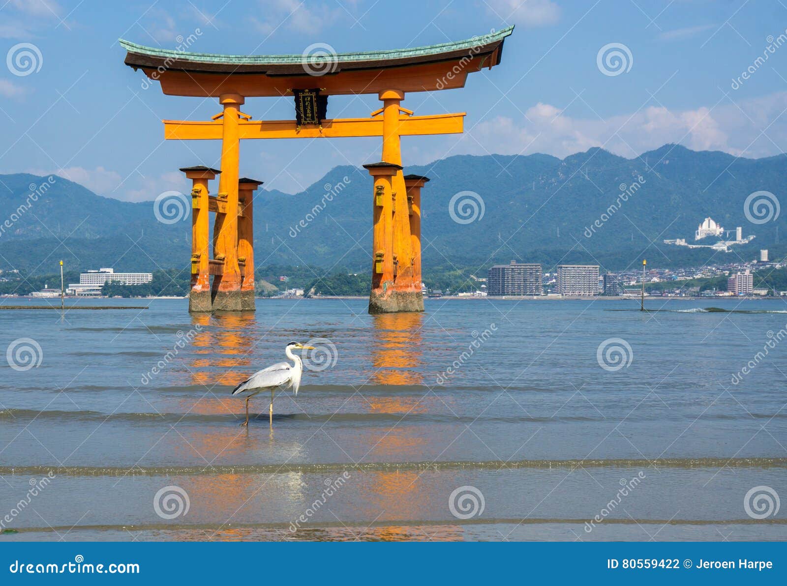 Tori Gate Front Of Dankazura Pathway To Tsurugaoka Hachimangu Shrine ...