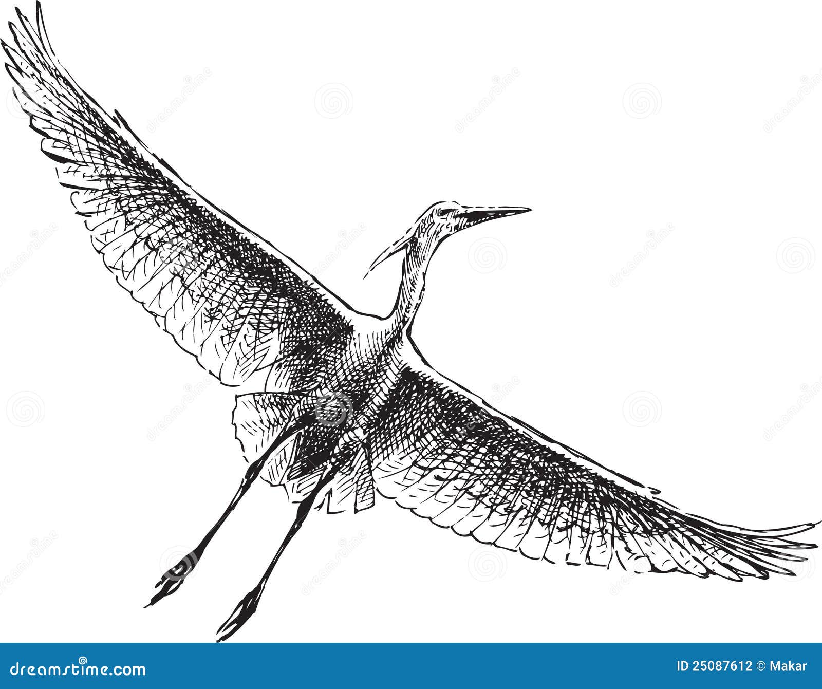 Heron in the sky stock vector. Illustration of hand, animal - 25087612