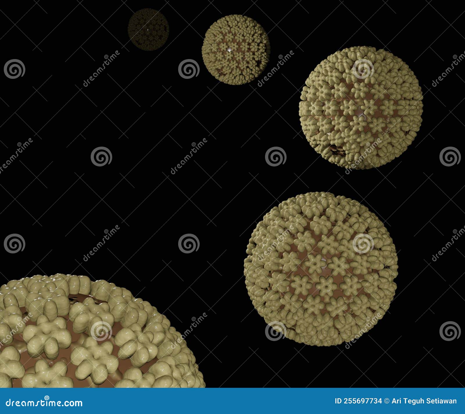Herpes Simplex Virus 1 and 2 (HSV-1 and HSV-2 Stock Illustration ...
