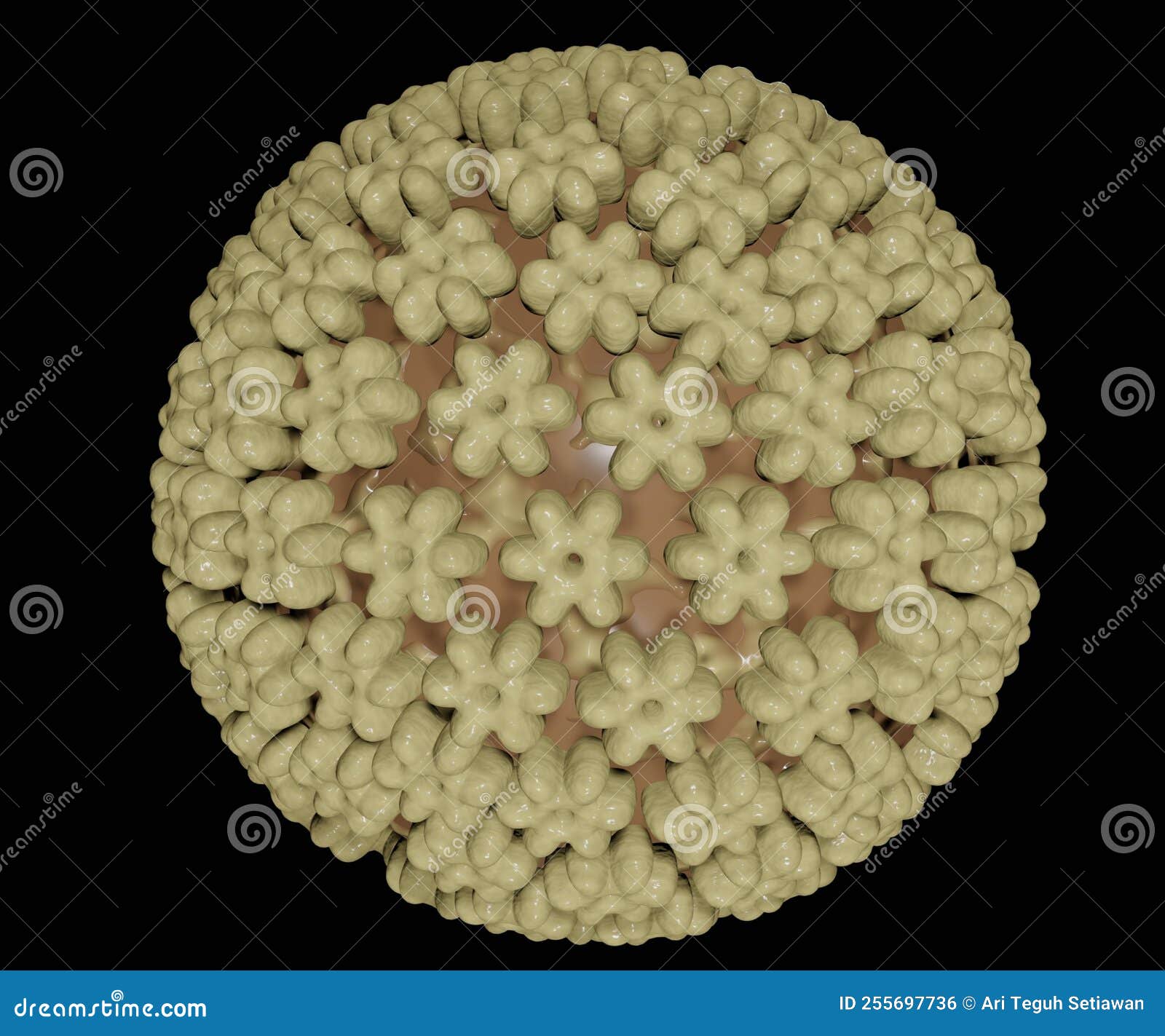 Herpes Simplex Virus 1 and 2 (HSV-1 and HSV-2) Stock Illustration ...