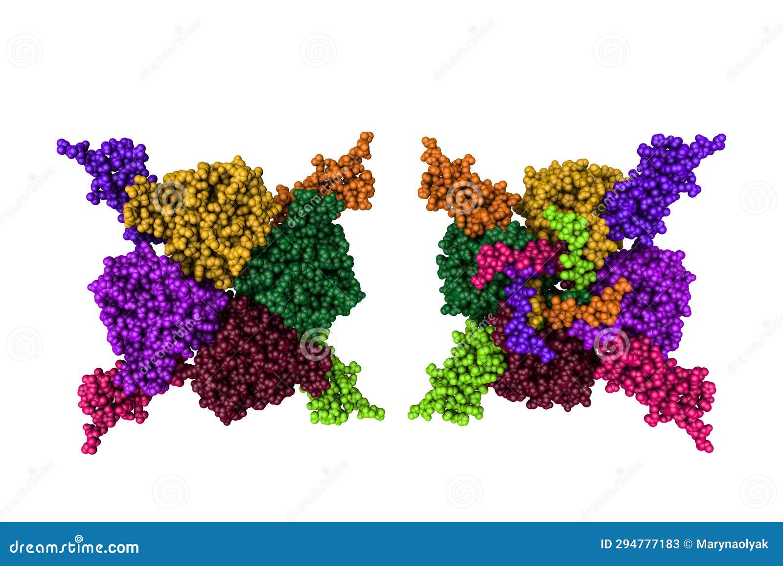 Herpes Simplex Virus . Space-filling Molecular Model. Rendering with ...