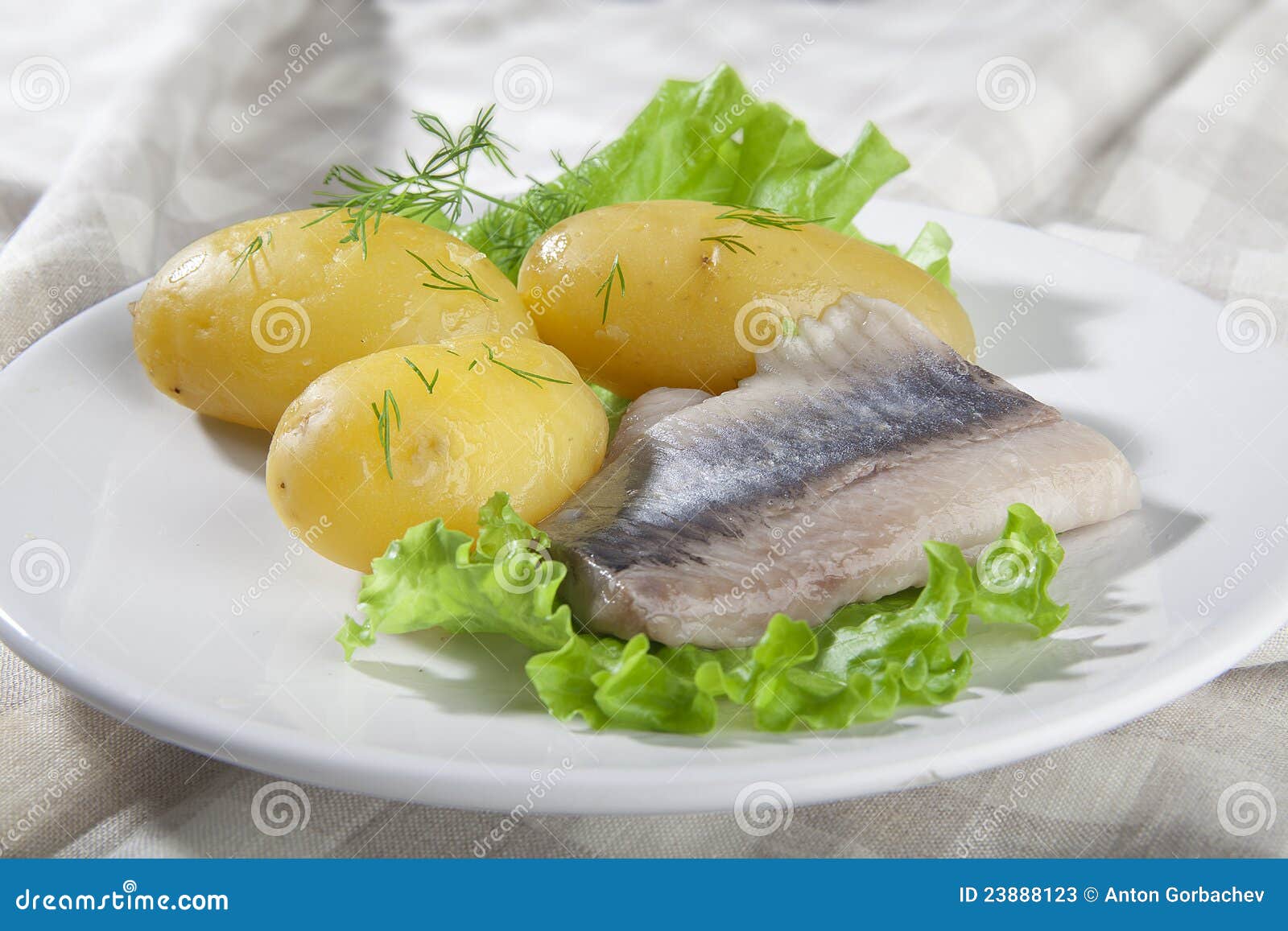 Herring with boiled potato stock image. Image of leaf - 23888123