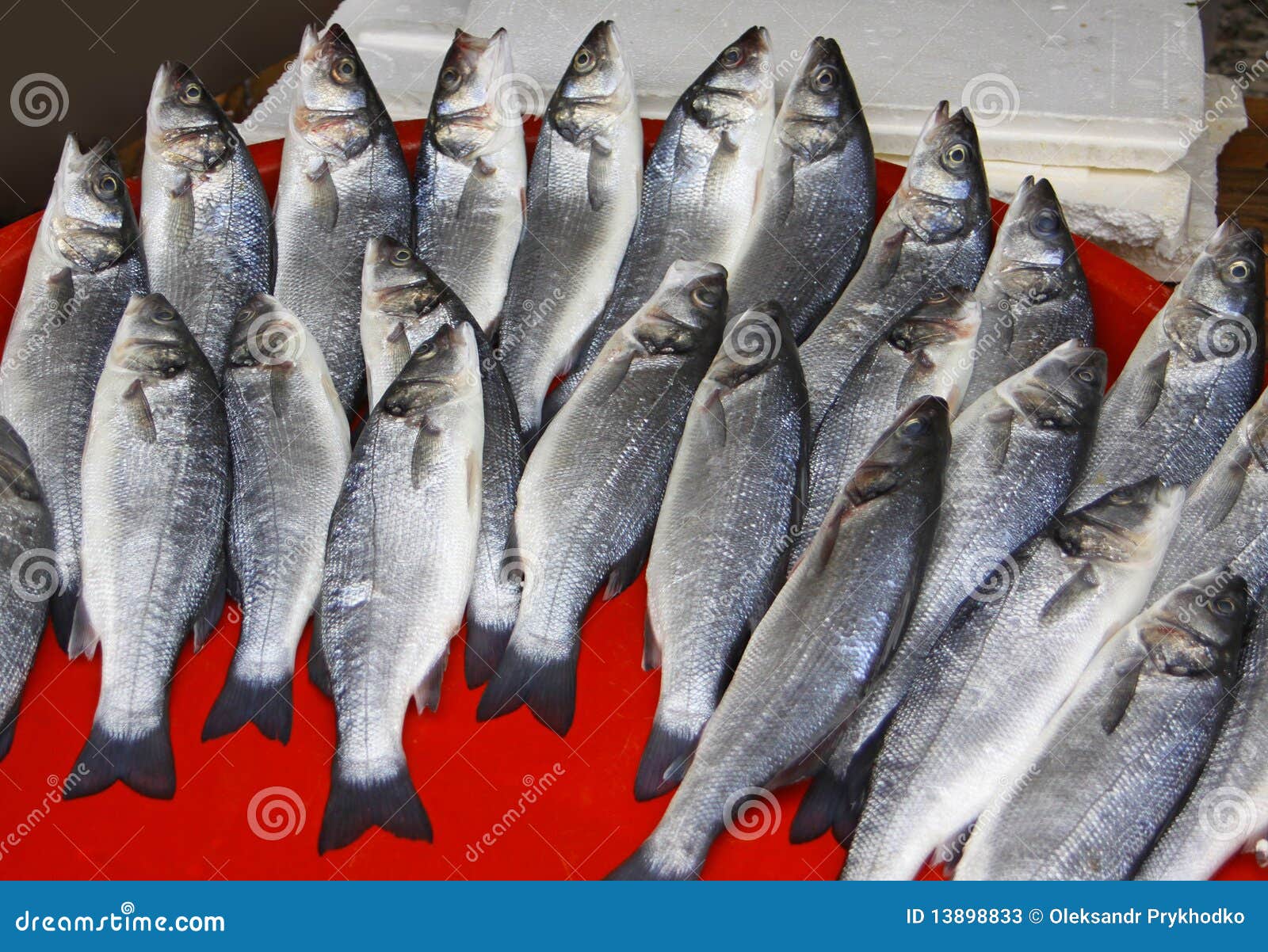 Herring fish stock image. Image of grey, pile, bulk, closeup - 13898833