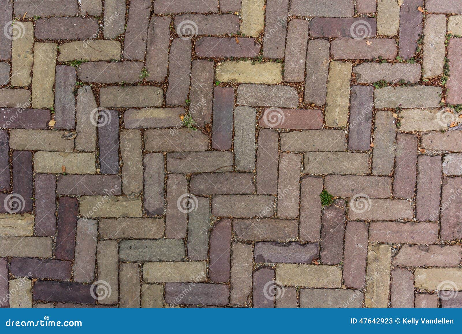 Herringbone Brick Pathway stock image. Image of architecture - 47642923