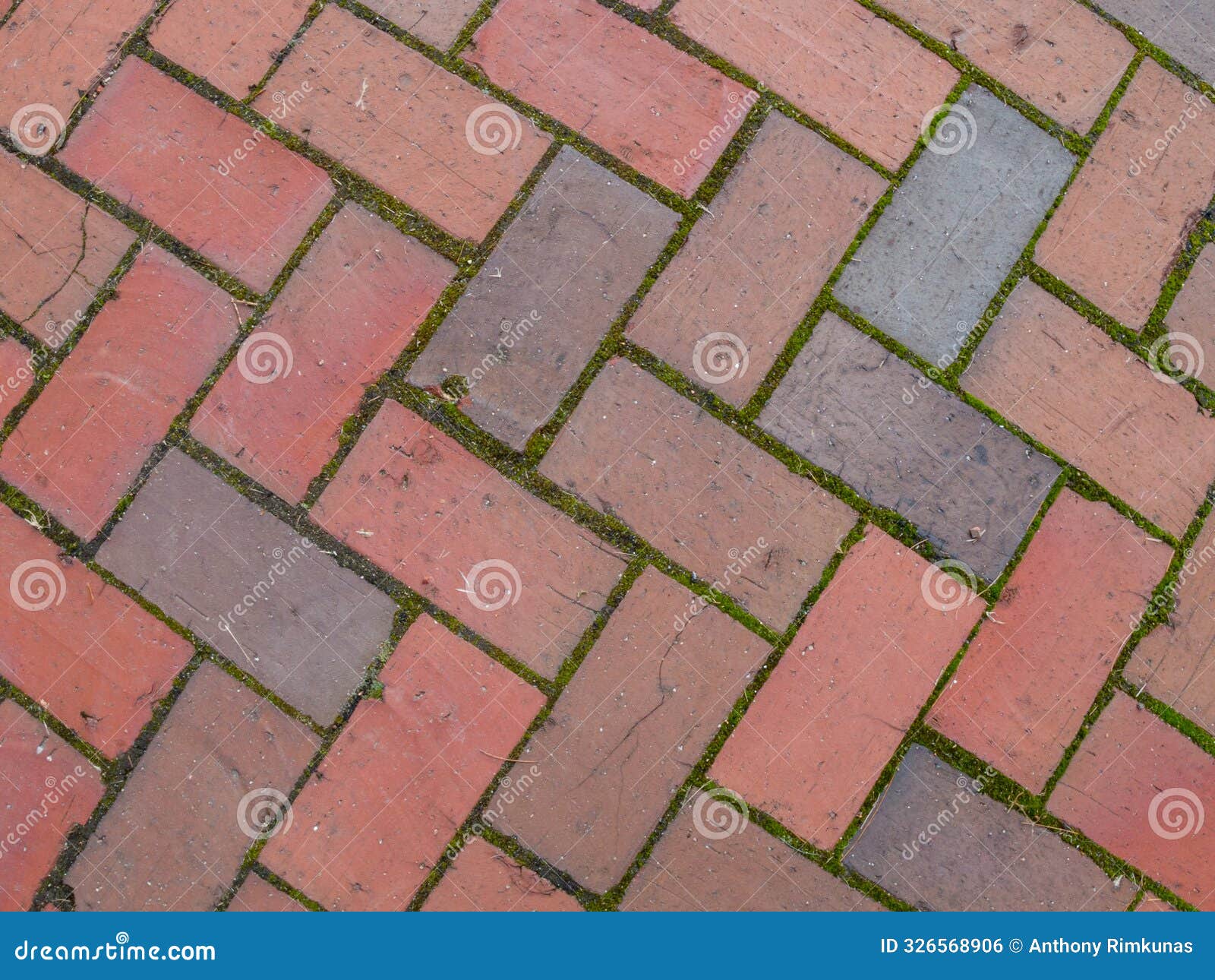 Herringbone Brick Pavers stock photo. Image of herringbone - 326568906