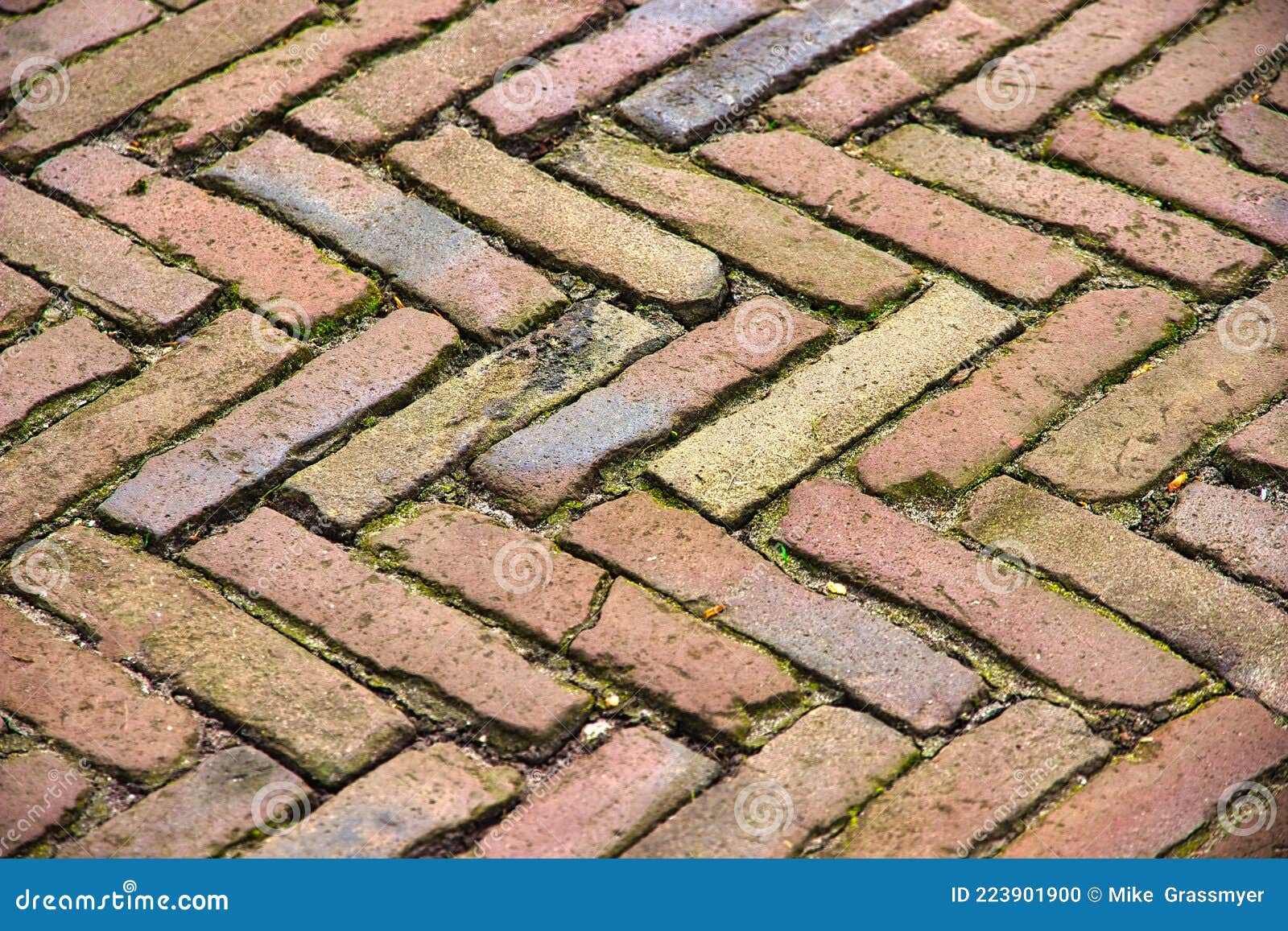 Herringbone Pattern Brick Pathway Stock Photo - Image of rustic ...