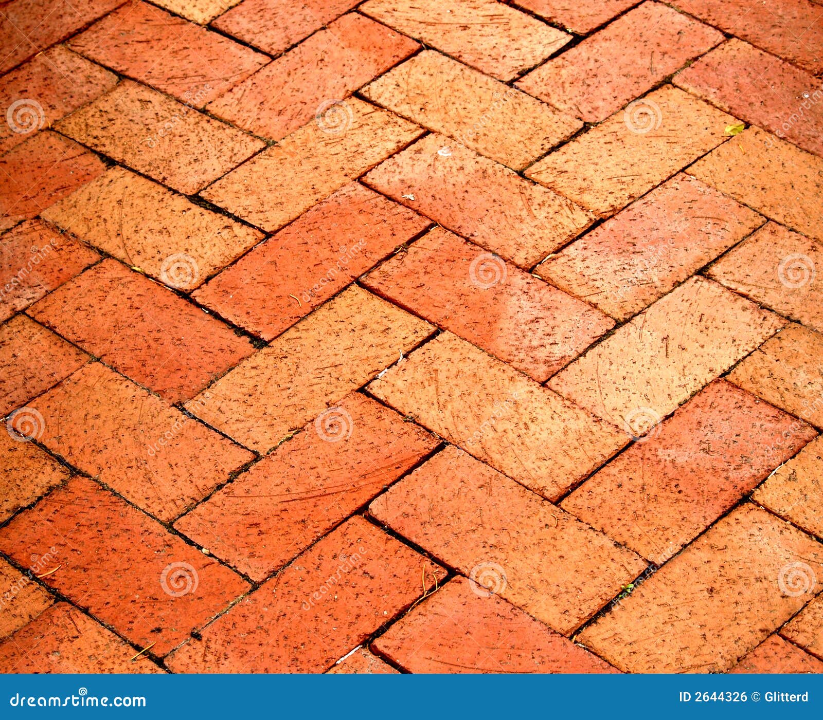 Herringbone Patterned Bricks Stock Photo - Image of details, beige: 2644326