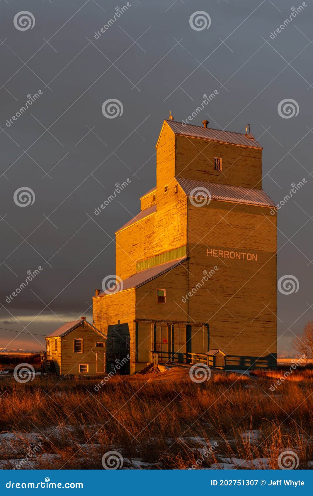 Herronton`s Old Alberta Wheat Pool Grain Elevator Editorial Photography ...