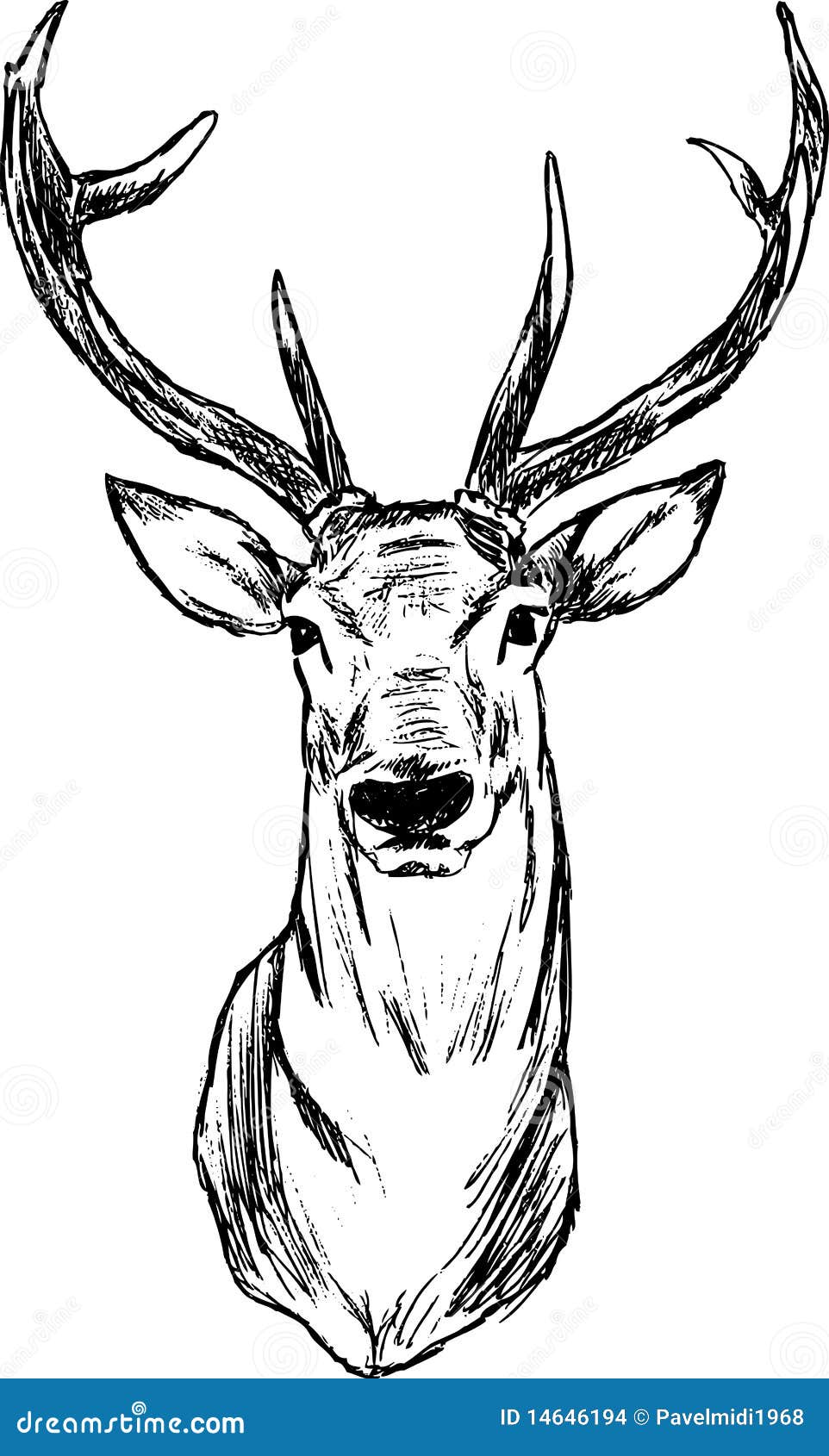 Herten Stock Afbeeldingen - Afbeelding: 14646194