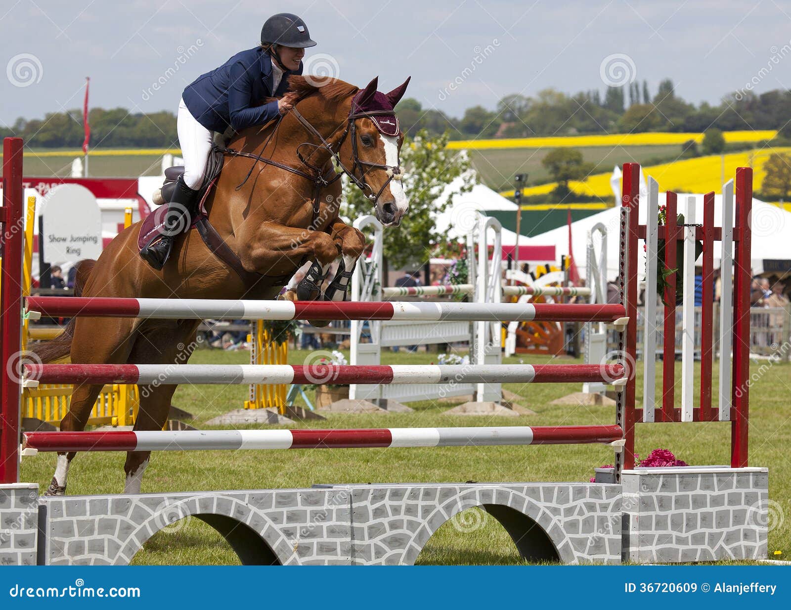 Herts County Show Showjumping Editorial Stock Image - Image of herts ...