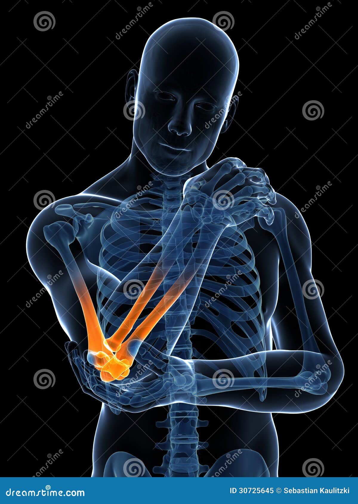 Hervorgehobener Ellbogen stock abbildung. Illustration von biologie ...