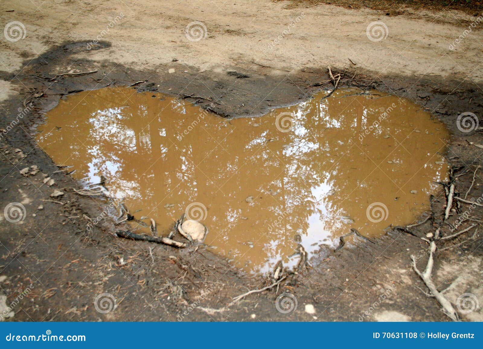 Herz-Form-Schlamm-Loch stockfoto. Bild von hunger, geformt - 70631108