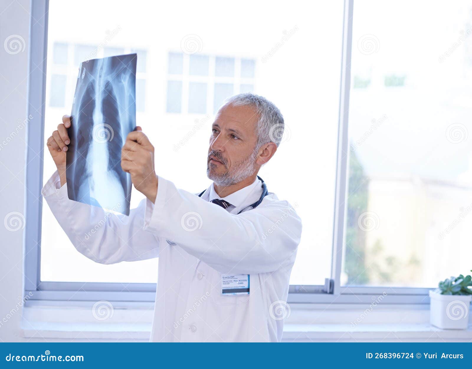 Hes a Pro at Reading X-rays. a Doctor Looking at an X-ray. Stock Photo ...