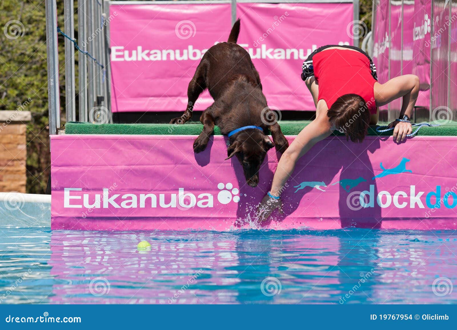Hesitation before Jumping... Editorial Stock Image - Image of water ...