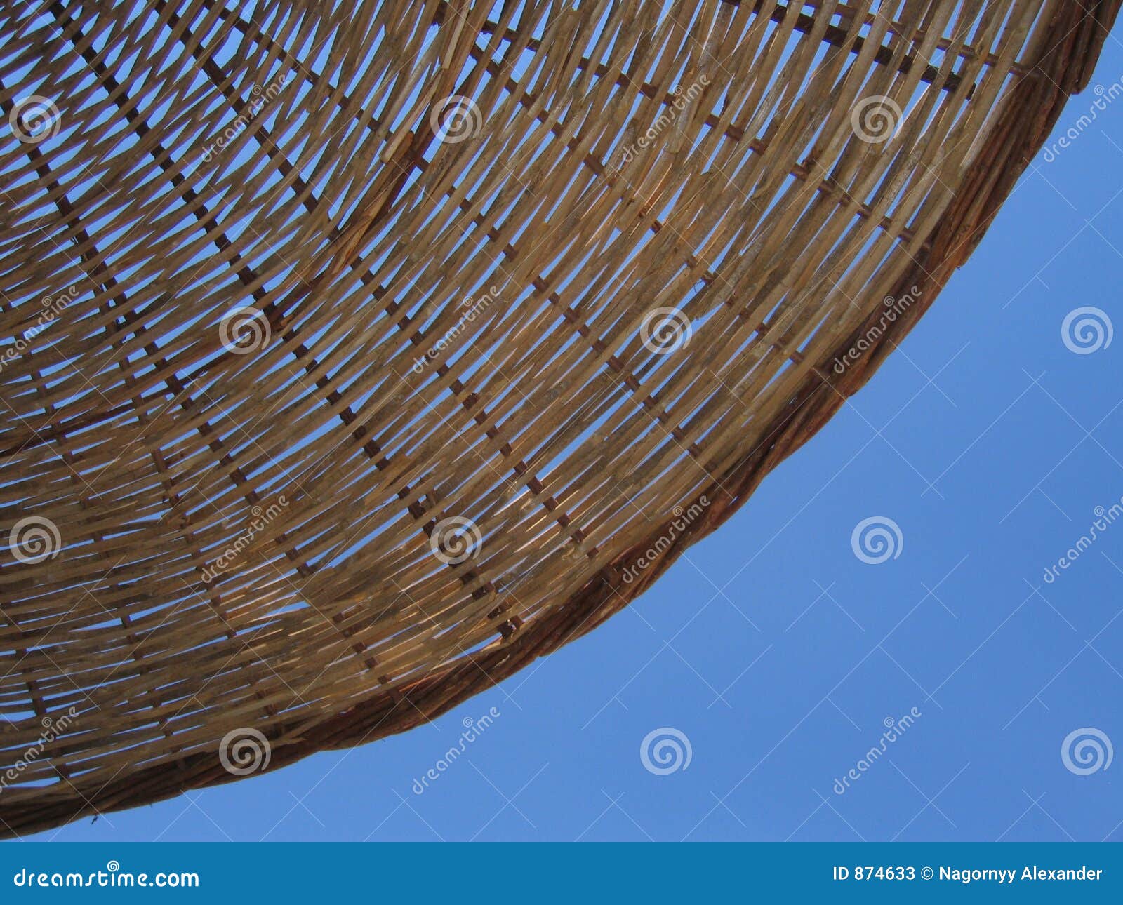 Het afbaarden van het riet stock afbeelding. Image of paraplu - 874633