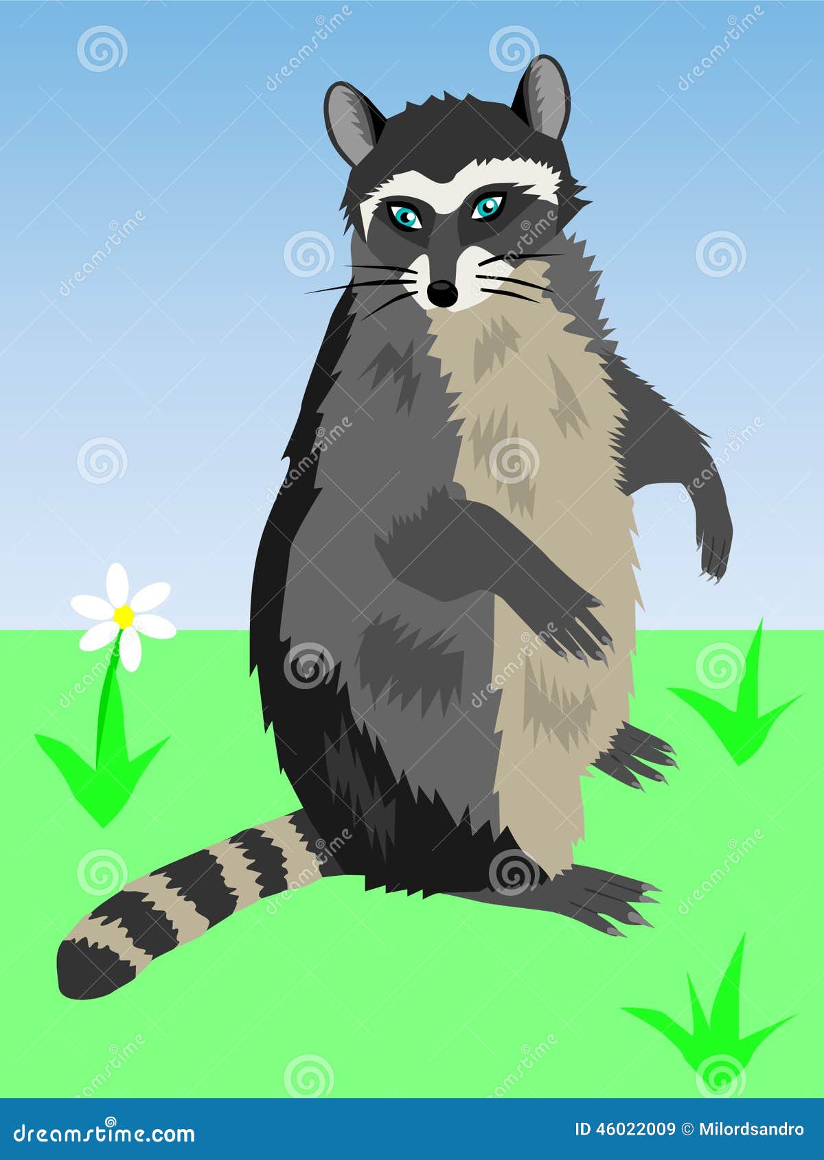 Het Amuseren Luchtige Wasbeer Vector Illustratie - Illustration of ...