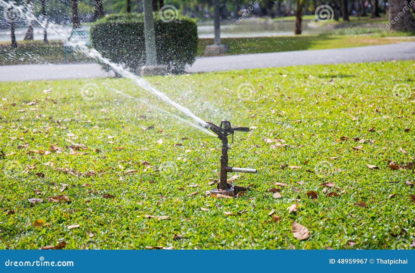 Het Automatische Sproeier Water Geven Stock Afbeelding - Image of ...