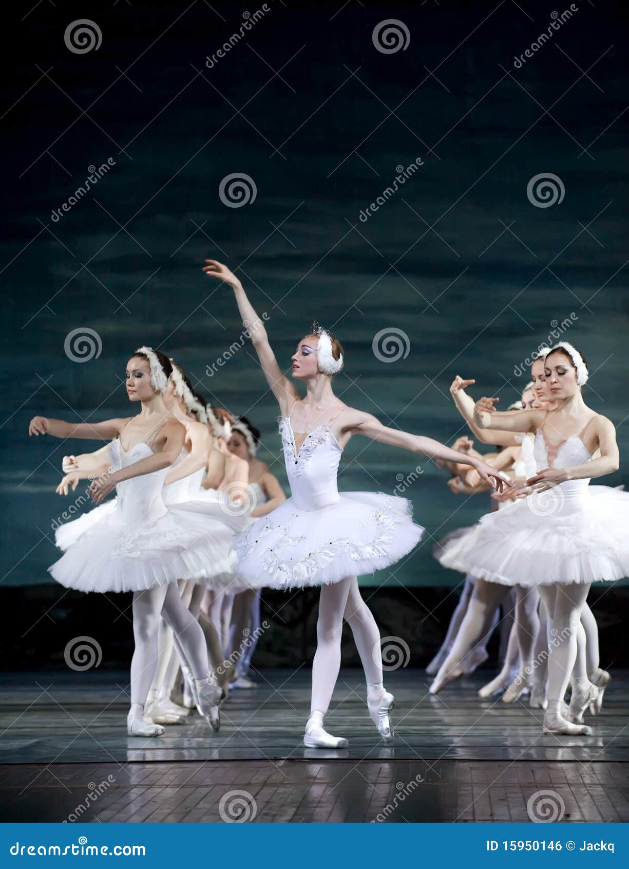 Het Ballet Van Het Meer Van De Zwaan Redactionele Foto - Image of motie ...