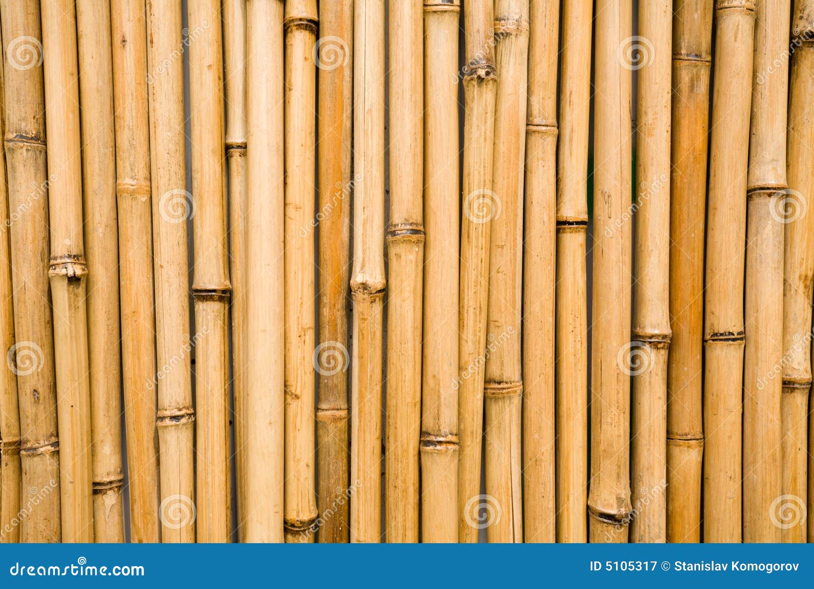 Het bamboe van de muur stock afbeelding. Image of bamboe - 5105317