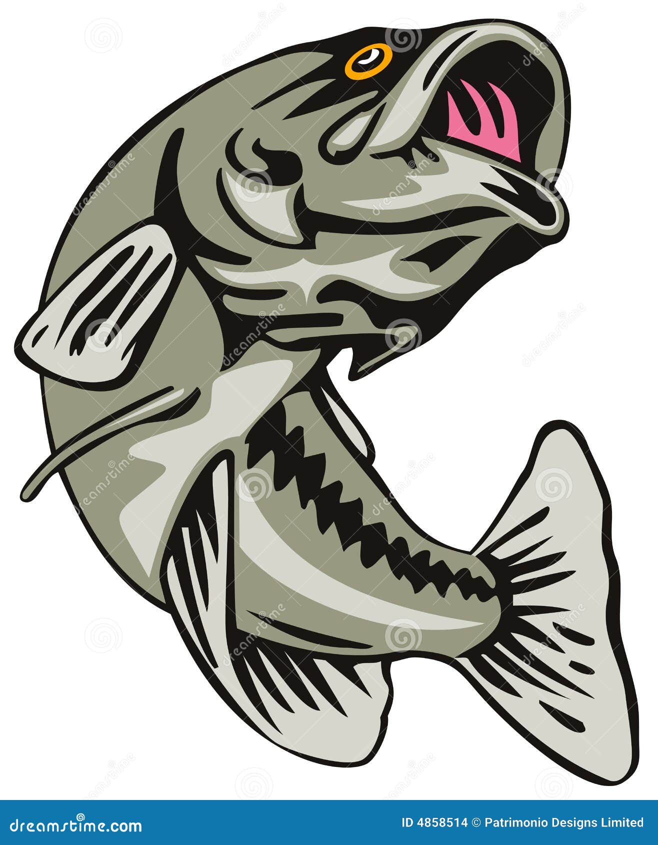 Het bas springen vector illustratie. Illustration of baarzen - 4858514